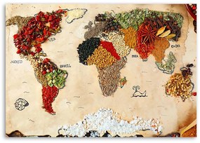 Gario Obraz na plátně Mapa světa s kořením Rozměry: 60 x 40 cm