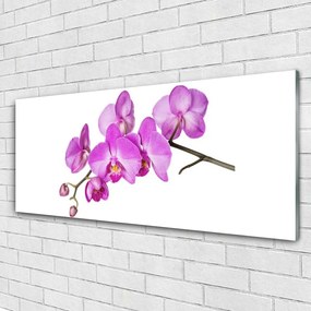 Plexisklo-obraz Vstavač Orchidej Květiny 125x50 cm