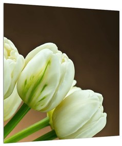 Obraz tulipánů  (40x40 cm)