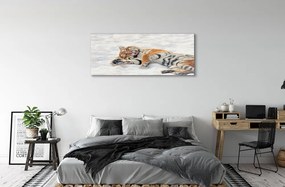 akrylový obraz Tiger winter 120x60 cm