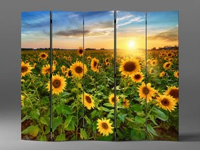 Liox Paraván slunečnicové pole Rozměr: 225 x 180 cm