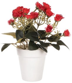 Mini růžičky v plastovém bílém obalu SG7334 Červená