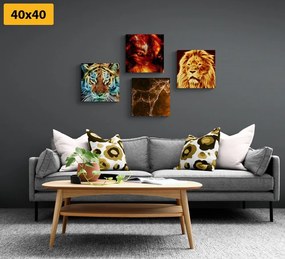 Set obrazů tajemná abstrakce zvířat - 4x 60x60 cm