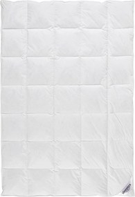 XXXLutz CELOROČNÍ PŘIKRÝVKA, 155/220 cm, kachní prachové peří, kachní peří Sleeptex - Přikrývky - 005032003902