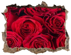 Wallmuralia Samolepící nálepka fototapeta Růže 95x64 cm