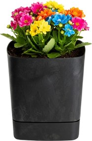 Sada 3 ks květináčů Cubi 16x16/19x19/25x25 cm černý beton