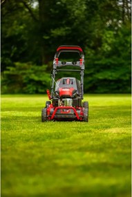 Hahn & Sohn Cedrus Sekačka benzínová KS53S s pojezdem HP16108