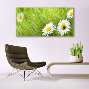 akrylový obraz Tráva Sedmikrásky Příroda 120x60 cm