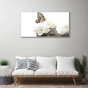 Obraz na skle Motýl Květ Kameny Rostlina 120x60 cm
