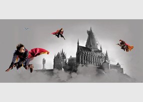 Dětská vliesová fototapeta na zed' Harry Potter Famfrpálové Trio | 170 x 75 cm | DFTDNH5517