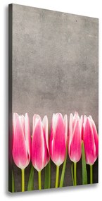 Wallmuralia Vertikální Foto obraz na plátně Růžové tulipány 50x100