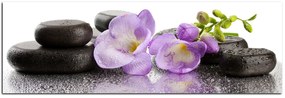 Obraz na plátně - Lávové kameny a fialové květy - panoráma 563A (105x35 cm)