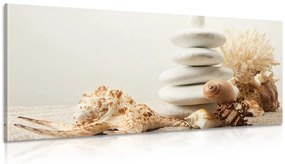 Obraz Zen kameny s mušlemi