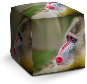 Sablio Taburet Cube Mandril: 40x40x40 cm