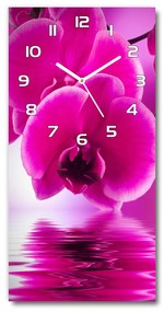 Wallmuralia Nástěnné hodiny tiché Růžová orchidej 30x60 cm