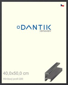 DANTIK rámeček 40x50 | ALU profil 6220 Černá matná (Plexi Čiré)