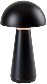 Rabalux Ishtar stolní lampa 1x3 W černá 76007
