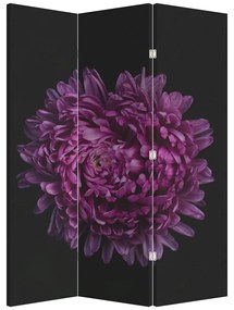 Paraván - Fialová květina (135 x 180 cm)
