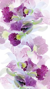 Foto závěs Fialové orchideje, 140x245cm, FCSL 7523