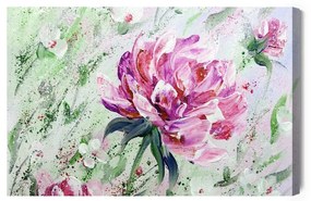 Obraz Pivoňky Růže Jak Malované Nedostatek Nedostatek Plátno Canvas 40x30