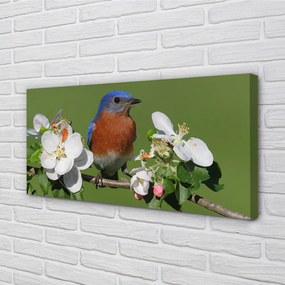 Obrazy na plátně Květiny barevné papoušek 140x70 cm