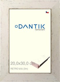 DANTIK rámeček 20x30 | RETRO bílá (Sklo Čiré)