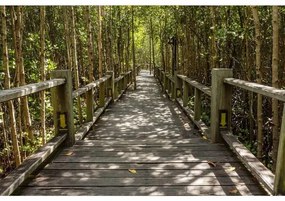 Vliesové fototapety na zeď Mangrovový les | MS-5-0059 | 375x250 cm