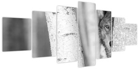Obraz - Vlk v lese (210x100 cm)