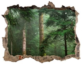 Wallmuralia Díra 3D foto tapeta nálepka Mlha v lese 95x64 cm
