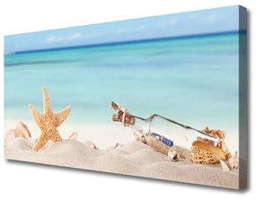Obraz na plátně Hvězdice Mušle Pláž 120x60 cm