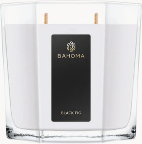 Ručně litá vonná XL svíčka Black Fig (jasmín, fík, santalové dřevo)