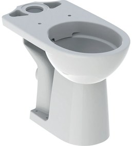GEBERIT Selnova Compact- Stojící WC pro splachovací nádržku umístěnou na WC míse, WC s hlubokým splachováním, Rimfree 500.486.01.1