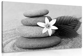 Obraz květ a kameny v písku v černobílém provedení