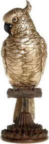 Bronzová dekorace papoušek na podstavci Parroté - 11*10*28 cm