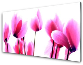 Obraz na skle Květíny Rostlina 100x50 cm