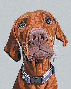 zuty malování podle čísel - ridgeback s modrým obojkem, 40x50 cm, bez rámu a bez vypnutí plátna