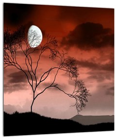 Obraz - Měsíc osvětlující noc (30x30 cm)