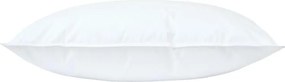 SCANquilt polštář EXCLUSIVE SATÉN - bavlna s Aloe vera 70 x 90 cm