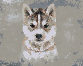 Malování podle čísel husky na šedém pozadí, 80x100 cm, bez rámu a bez vypnutí plátna