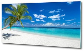 Wallmuralia Foto obraz skleněný horizontální Tropická pláž 100x50