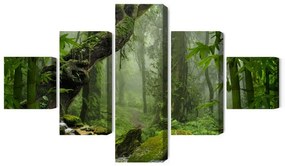 Vícedílný obraz Zeleň Deštného Pralesa Nedostatek Nedostatek Plátno Canvas 250x150