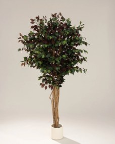 Dekorativní strom Burgundy v květináči 210 cm
