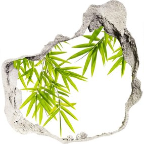 Wallmuralia Samolepící díra nálepka Listí bambusu 75x75 cm