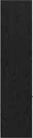 Lékárenská skříň Vzor Vzor 30 x 41 x 174,5 cm Černý dub 3365620