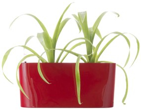 Samozavlažovací květináč G21 Combi mini červený 40 cm