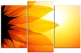 Obraz na plátně - Slunečnice květ 1201C (90x60 cm)