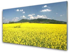 Obraz na skle Pole Louka Příroda Řepka Olejka 125x50 cm