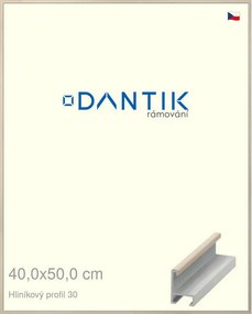 DANTIK rámeček 40x50 | ALU profil 6030 Dýha slovnová kost (Plexi Čiré)