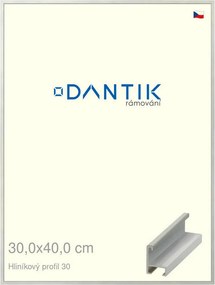 DANTIK rámeček 30x40 | ALU profil 6030 Dýha barevná šedá světlá (Plexi Čiré)