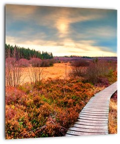 Obraz - Podzimní cesta krajinou (30x30 cm)